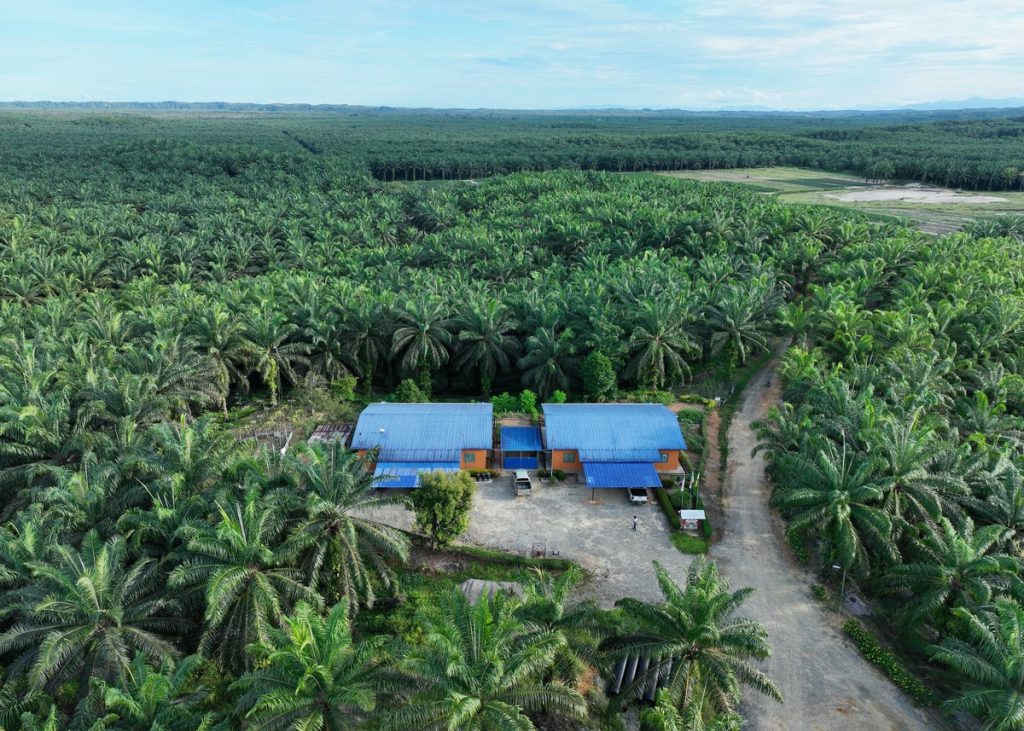 Perladangan - Perbadanan Ekonomi Islam Perak Sdn Bhd
