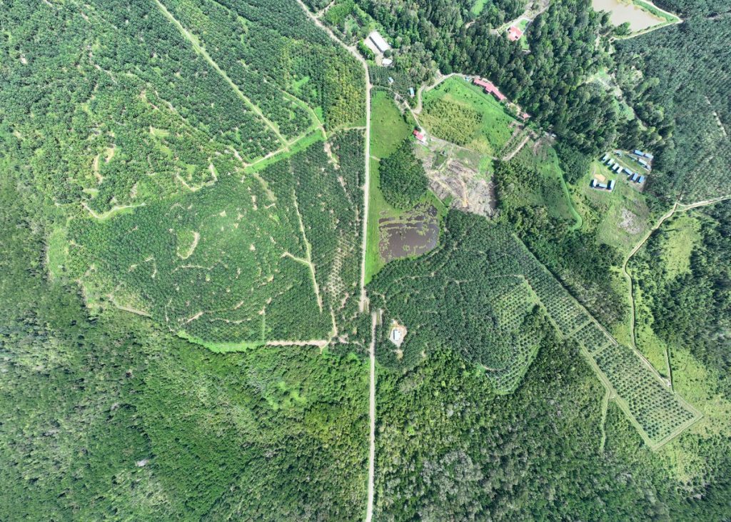 Perladangan - Perbadanan Ekonomi Islam Perak Sdn Bhd