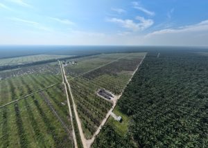 Perladangan - Perbadanan Ekonomi Islam Perak Sdn Bhd