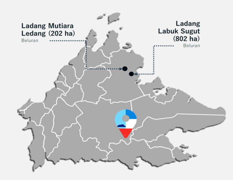 Perladangan - Perbadanan Ekonomi Islam Perak Sdn Bhd